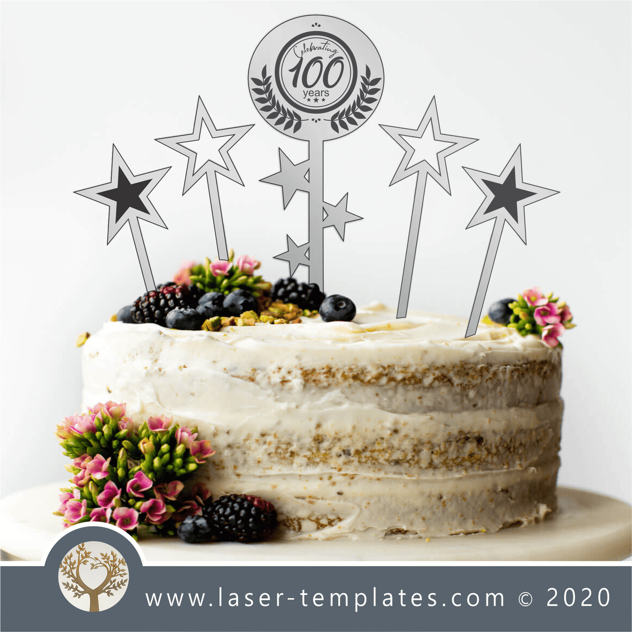Laser Ready Celebrating 100 Years Set Vector File – Laser Ready Templates