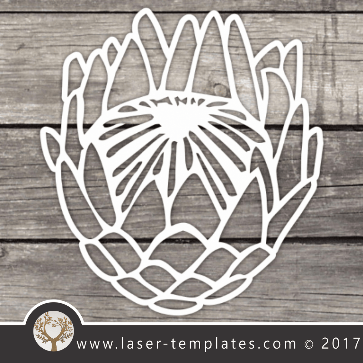 Protea single cut, online laser cut designs download. – Laser Ready ...