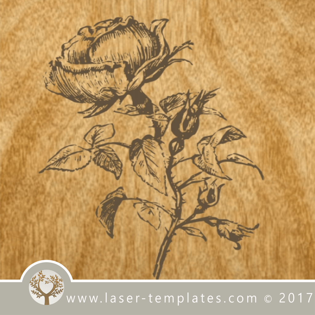 Vintage rose vector engraving template for Lasers. VECTOR template ...