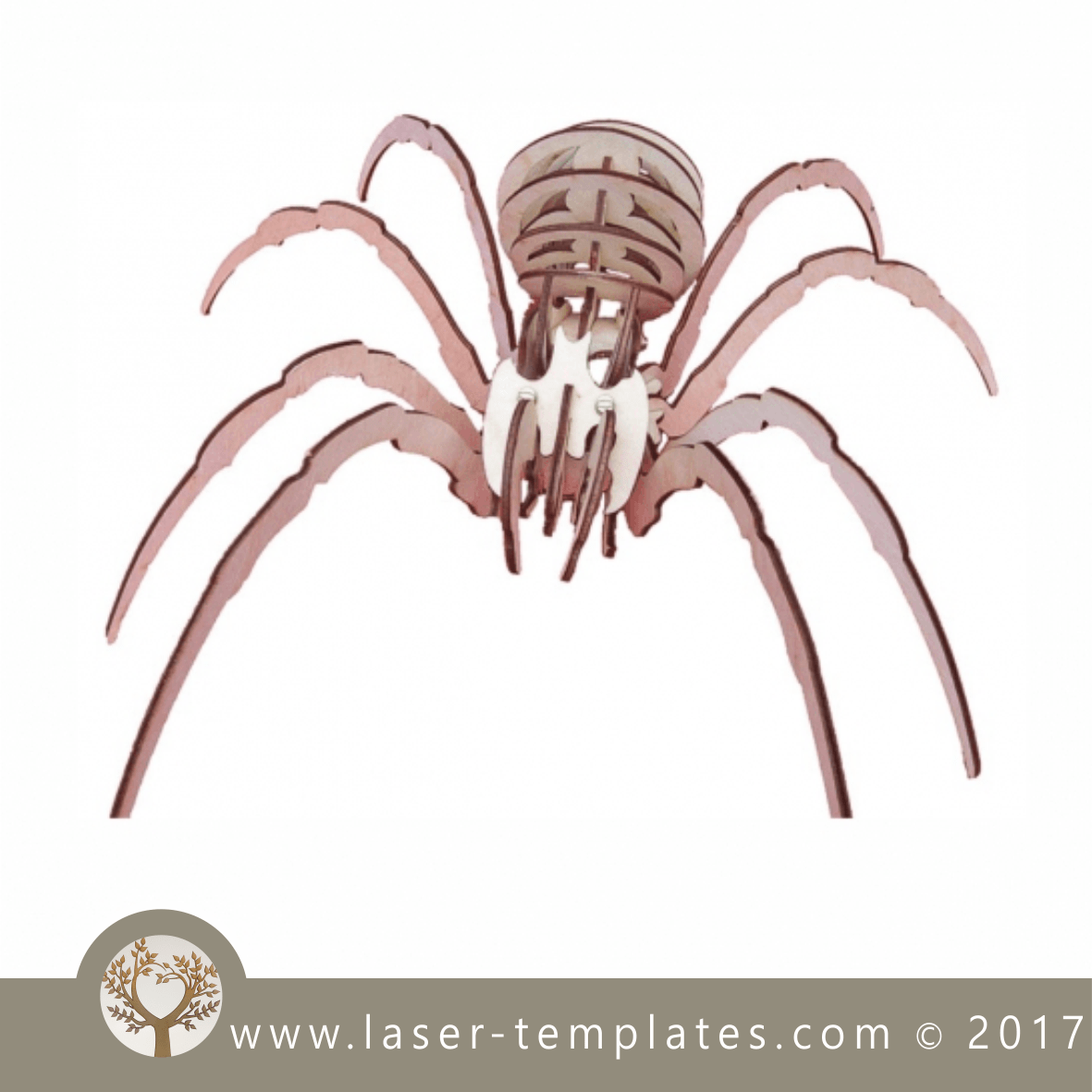 Spider 3d model laser cut template. Online patterns, download Vector ...